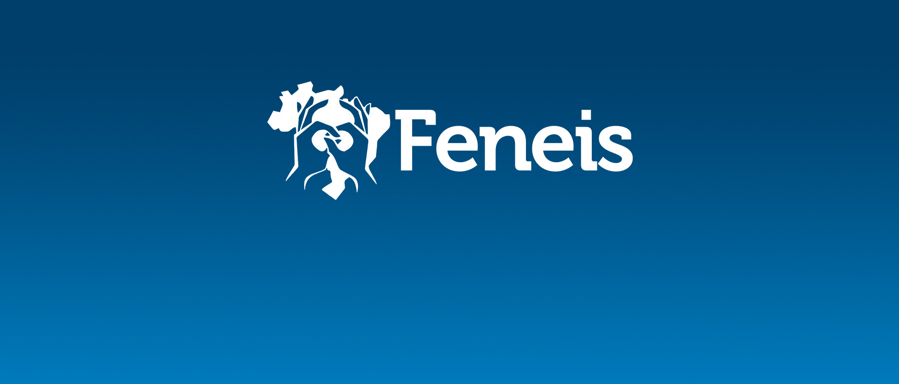 O que é - FENEIS